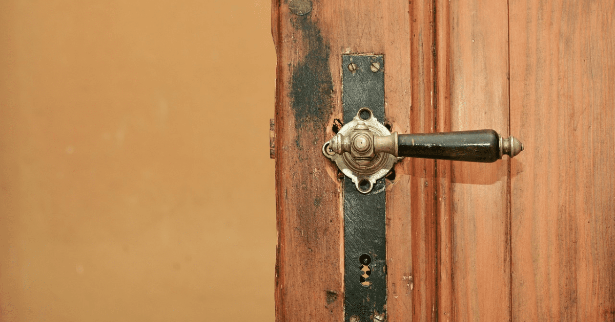 13 Common Things That Are 6 Inches Long With Pics - Dimension Scopez