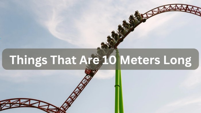 Fascinating Facts About 10-Meter Long Objects
